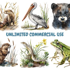 Watercolor Wetland Animals Clipart Bundle, Swamp Wildlife Clipart ...
