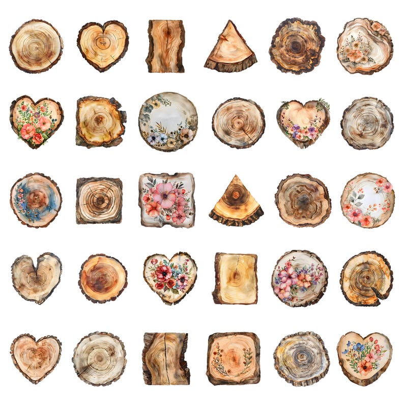 Watercolor Wood Slices Clipart Bundle, Tree Slices Clipart, Forest ...