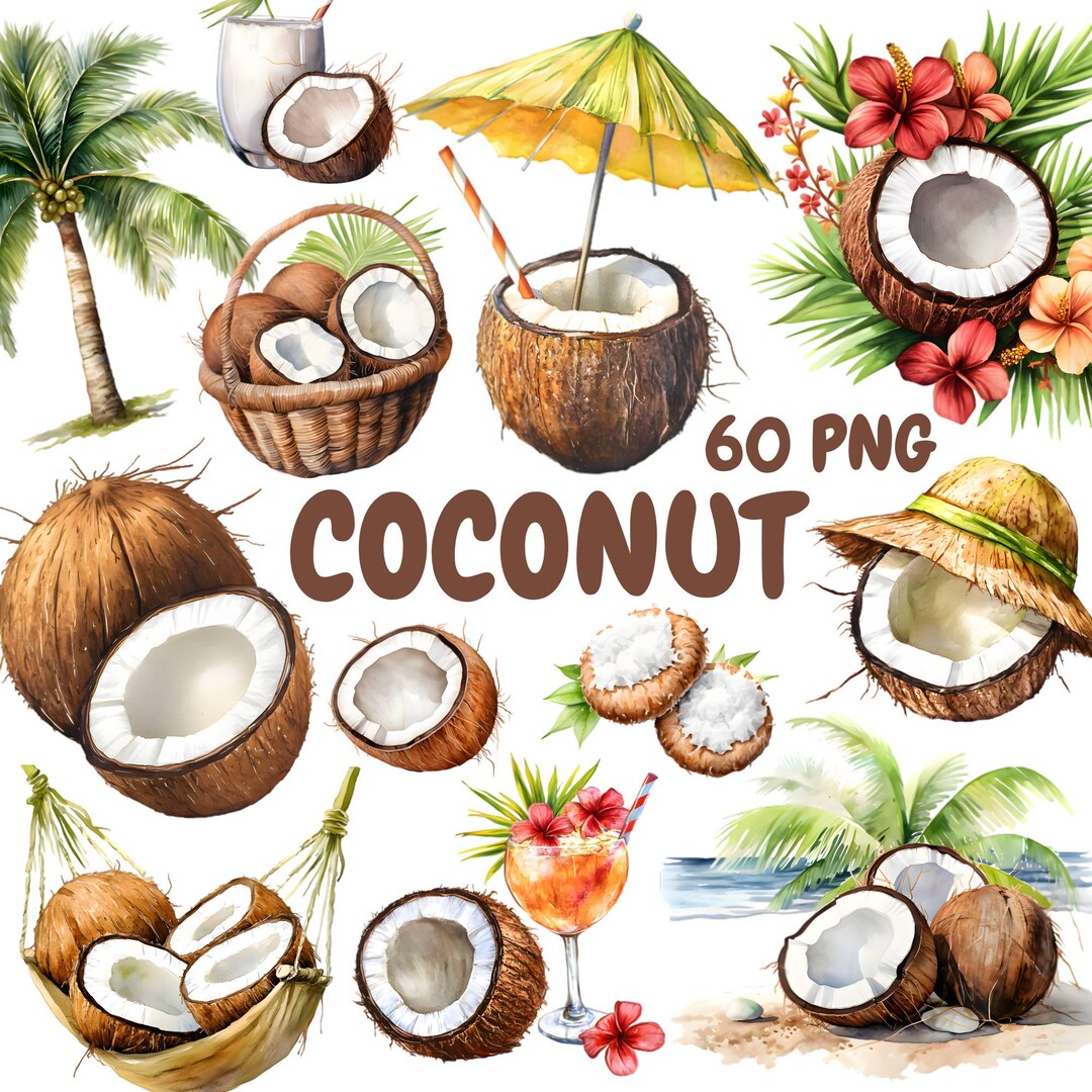 Watercolor Coconut Clipart Bundle, Tropical Fruit Clipart, Coconut ...