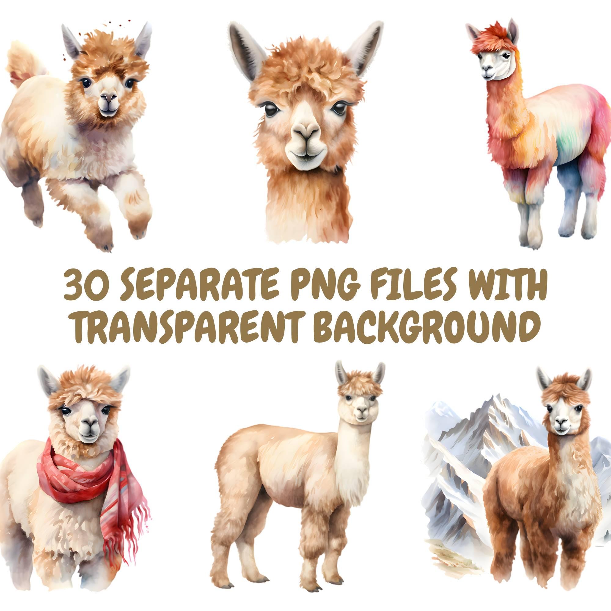 Watercolor Alpaca Clipart Bundle, Cute Llama Clipart, Alpaca ...