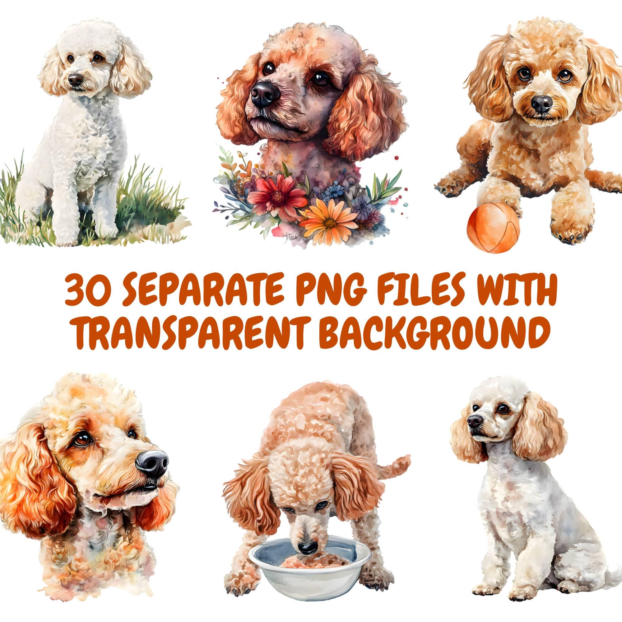 Watercolor Poodles Clipart Bundle, Cute Dog Clipart, Poodle ...
