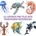 Watercolor Sea Creatures Clipart Bundle, Sea Animals Clipart, Octopus ...