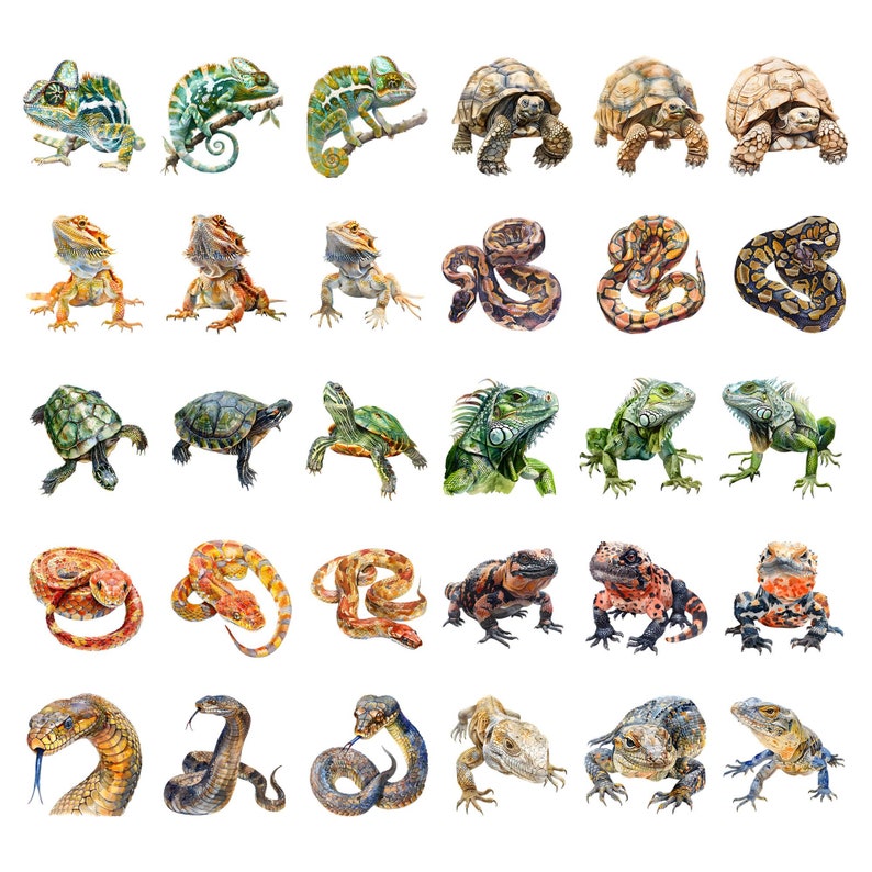 Watercolor Reptiles Clipart Bundle, Exotic Animals Clipart, Lizard ...