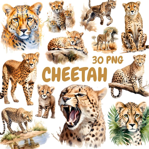 Watercolor Cheetah - Etsy UK