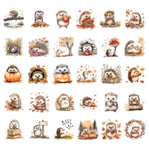 Watercolor Hedgehog Clipart Bundle, Cute Hedgehog Clipart, Hedgehog ...