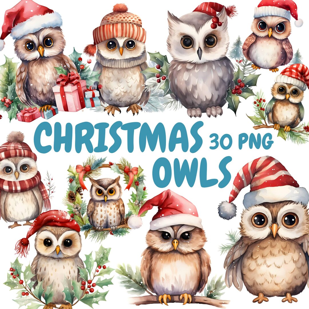 Watercolor Christmas Owls Clipart Bundle, Cute Owl Clipart, Winter Owl ...