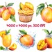 Watercolor Mango Clipart Bundle, Mango Fruit Clipart, Citrus ...