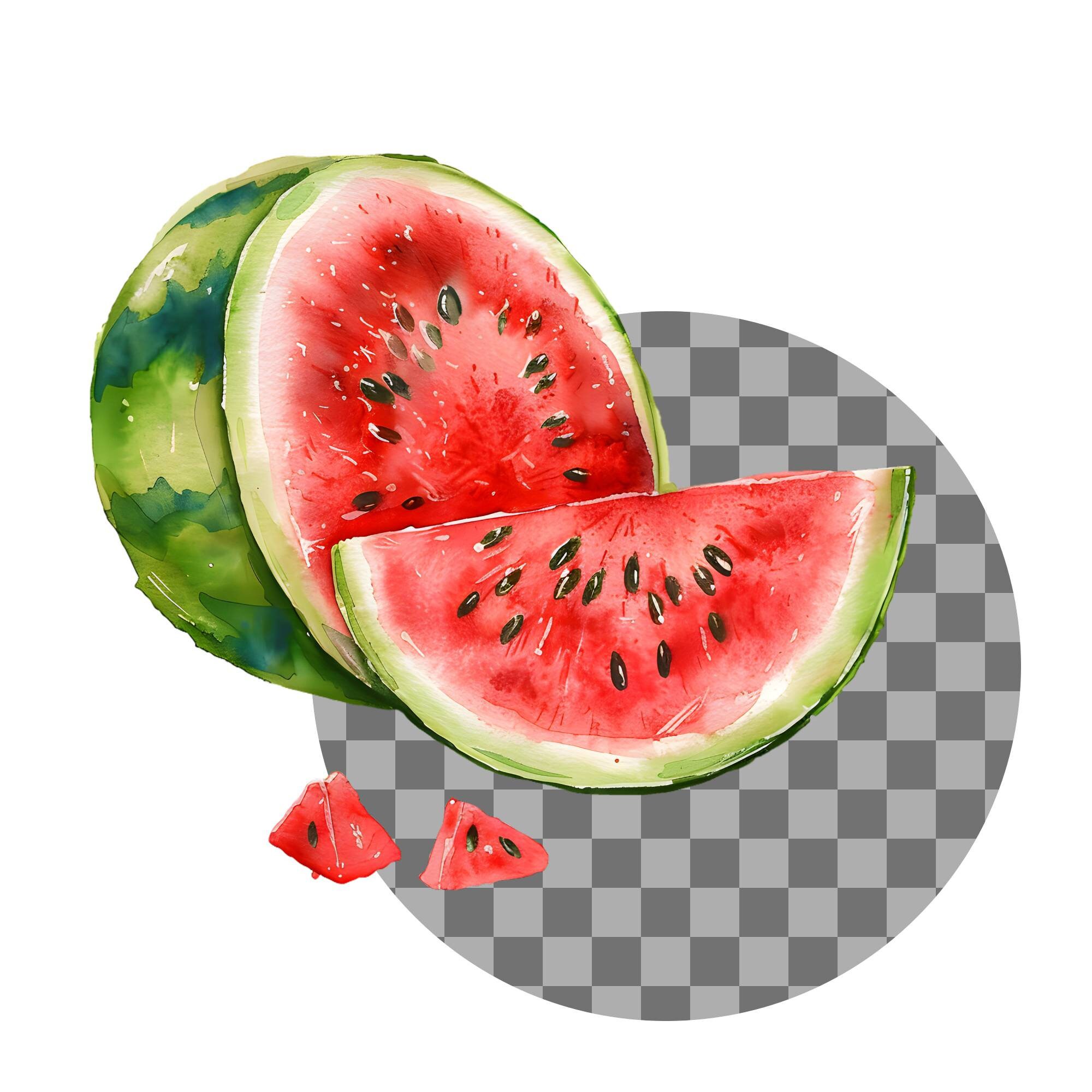 Watercolor Tropical Fruits Clipart Bundle, Healthy Food Clipart, Fruit ...