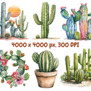 Watercolor Cactus Clipart Bundle, Desert Cactus Clipart, Cacti ...