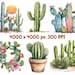 Watercolor Cactus Clipart Bundle, Desert Cactus Clipart, Cacti ...