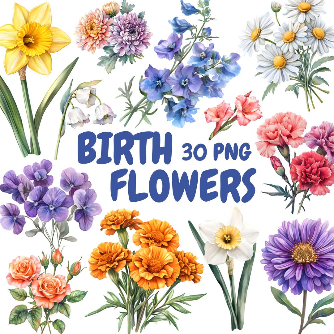 Watercolor Birth Flowers Clipart Bundle, Birth Month Clipart, Flower ...