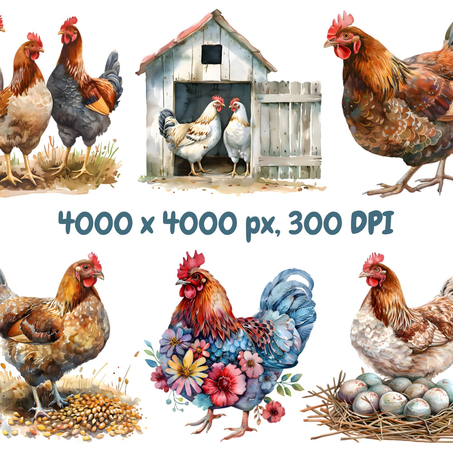 Watercolor Chickens Clipart Bundle, Chicken Coop Clipart, Rooster ...