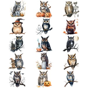 Watercolor Spooky Owls Clipart Bundle, Halloween Owl Clipart, Magic Owl ...