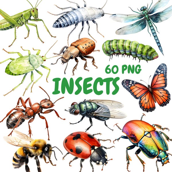 Realistic Clipart Bugs - Etsy UK
