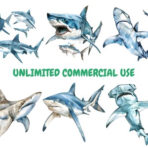 Watercolor Sharks Clipart Bundle, Sea Creatures Clipart, Shark ...