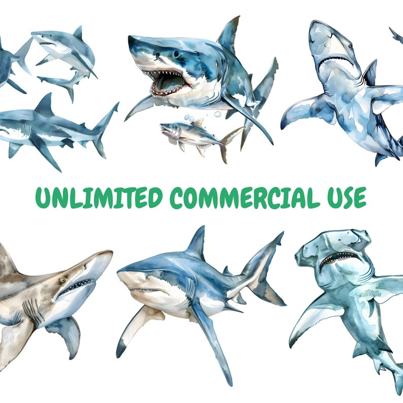 Watercolor Sharks Clipart Bundle, Sea Creatures Clipart, Shark ...