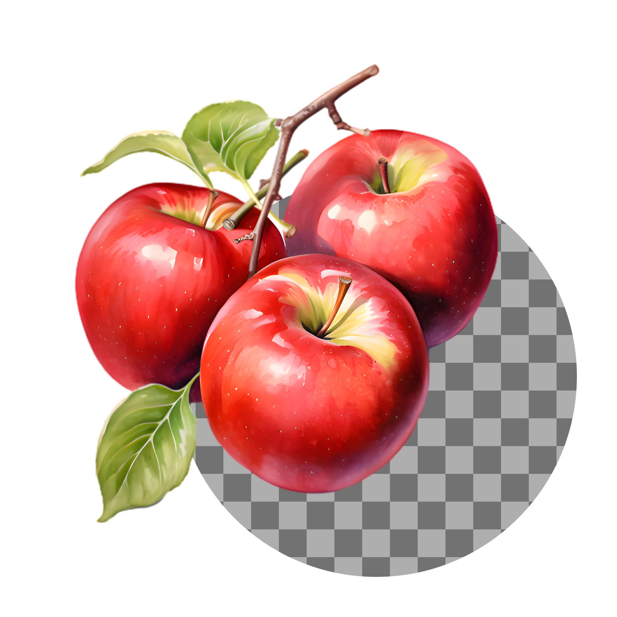 Watercolor Apples Clipart Bundle, Apple Pie Clipart, Fruit ...