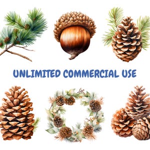 Watercolor Pine Cones Clipart Bundle, Pine Tree Clipart, Wreath ...