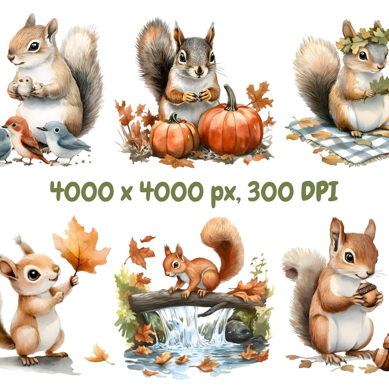 Watercolor Squirrels Clipart Bundle, Woodland Animal Clipart, Squirrel ...