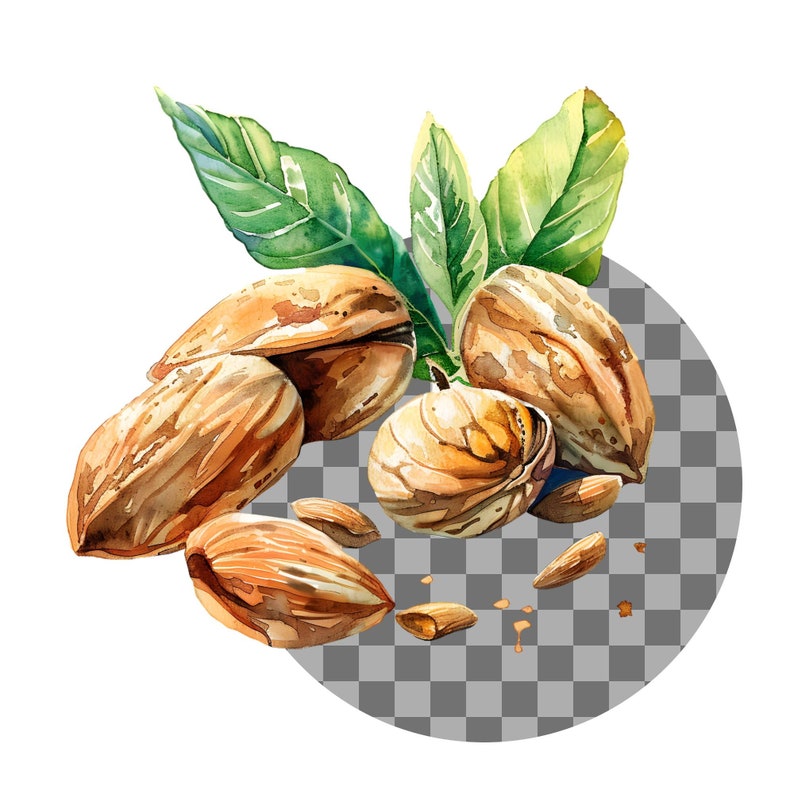 Watercolor Healthy Food Clipart Bundle, Healthy Vegetable Clipart, Food ...