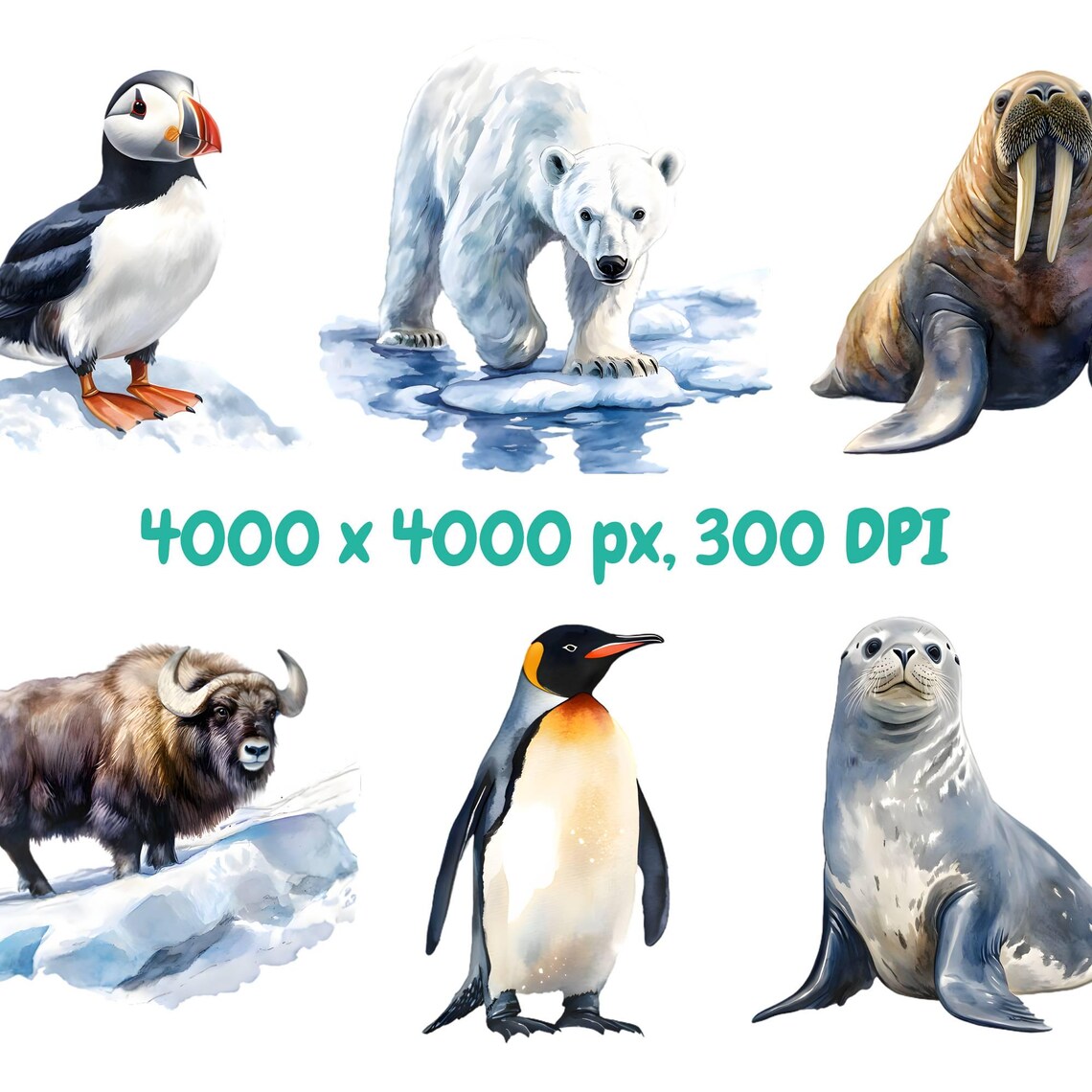 Watercolor Arctic Animals Clipart Bundle, Polar Bear Clipart, Seal ...