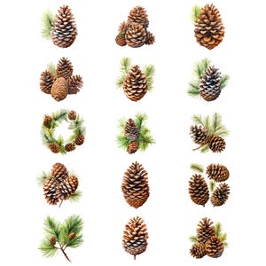 Watercolor Pine Cones Clipart Bundle, Pine Tree Clipart, Wreath ...