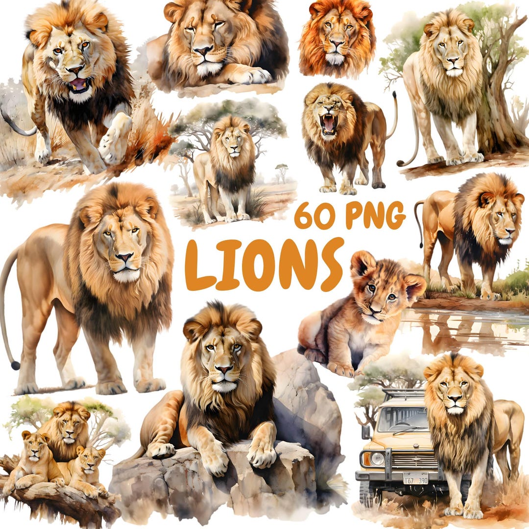 Watercolor Lions Clipart Bundle, Savanna Animals Clipart, Safari ...