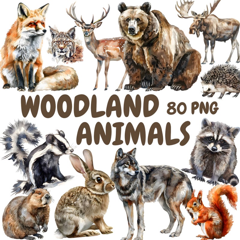 Woodland Animals Clipart - Etsy