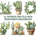 Watercolor Cactus Clipart Bundle, Desert Cactus Clipart, Cacti ...