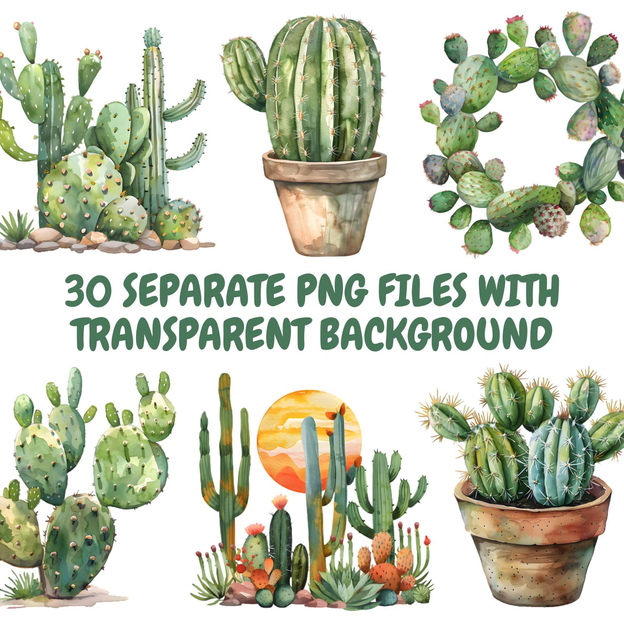 Watercolor Cactus Clipart Bundle, Desert Cactus Clipart, Cacti ...