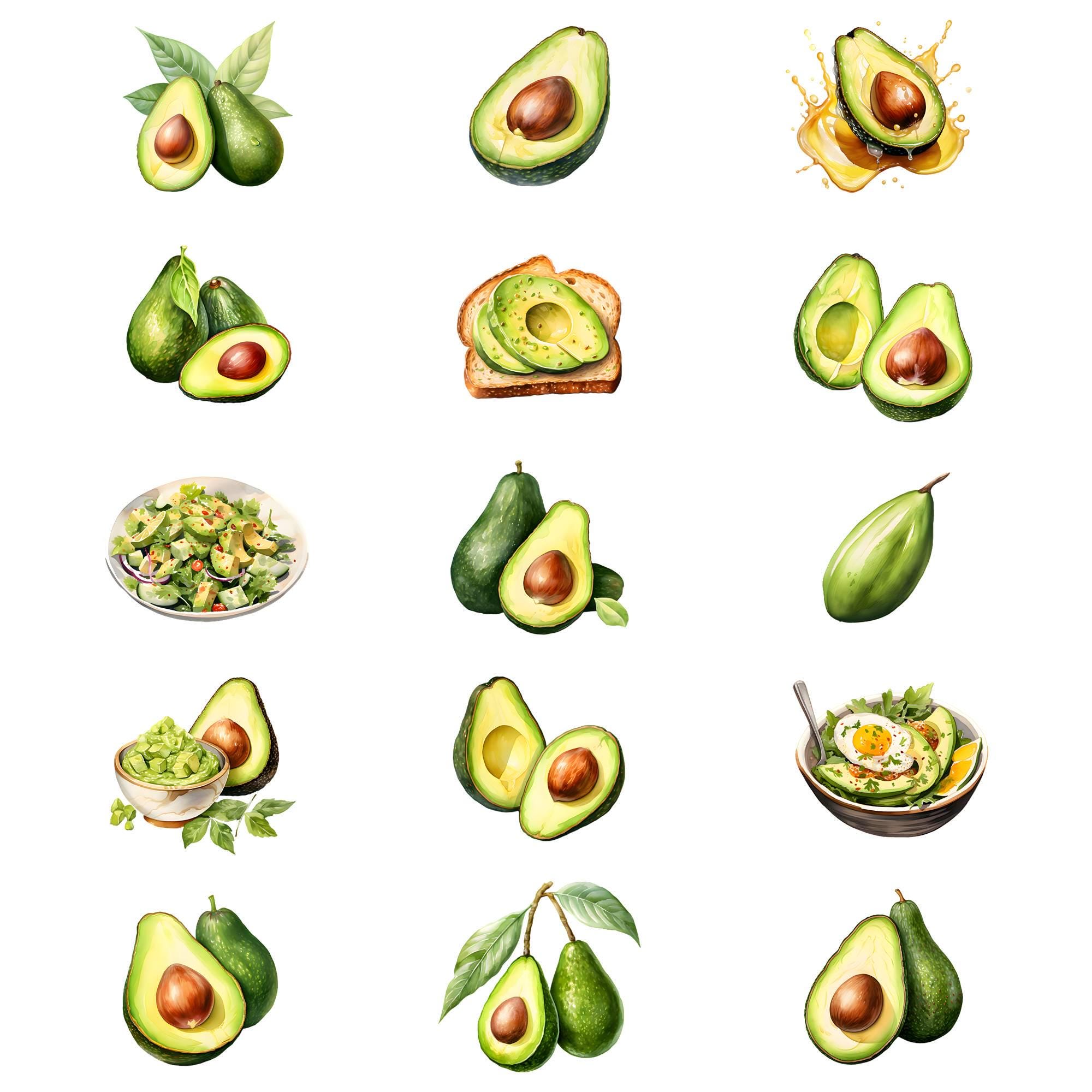Watercolor Avocado Clipart Bundle, Healthy Food Clipart, Fruit ...