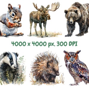 Watercolor Woodland Animals Clipart Bundle, Forest Animals Clipart ...