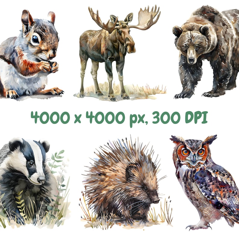 Watercolor Woodland Animals Clipart Bundle, Forest Animals Clipart ...