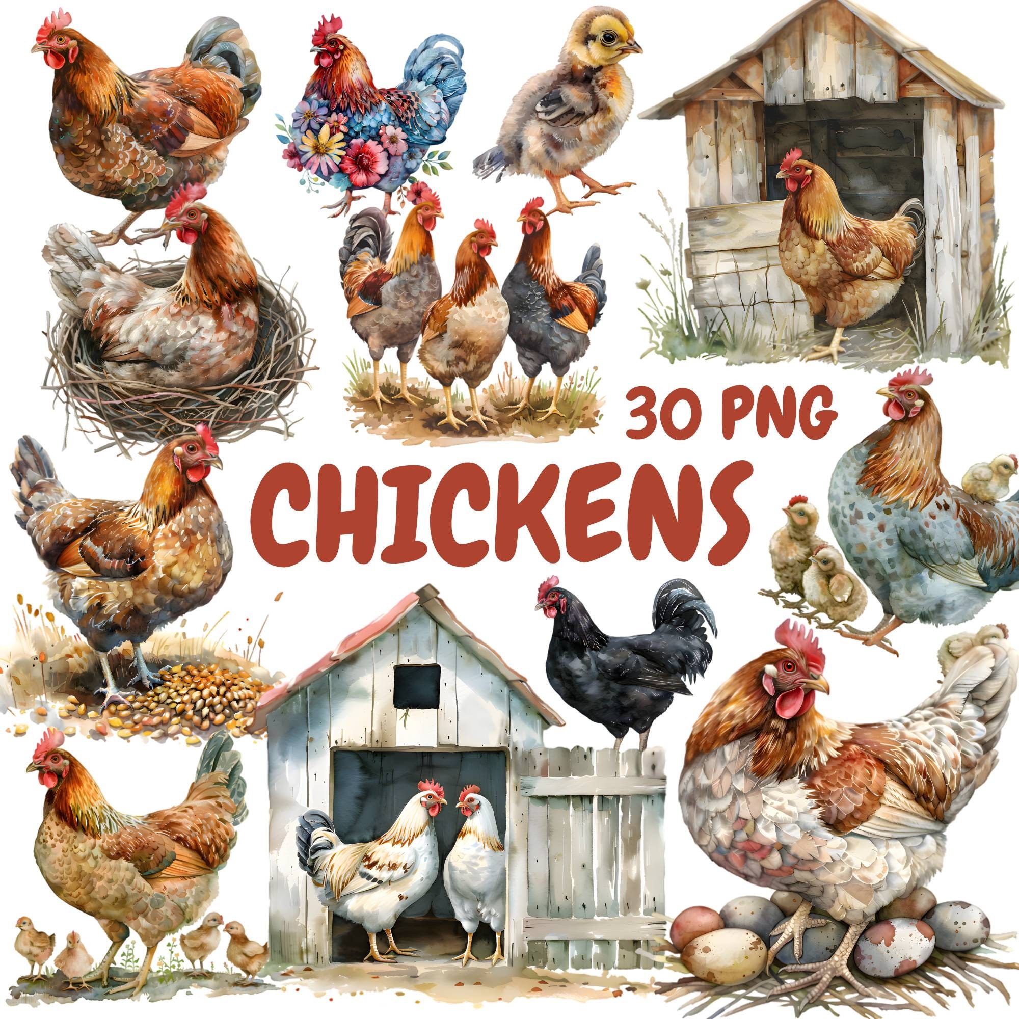 Watercolor Chickens Clipart Bundle, Chicken Coop Clipart, Rooster ...