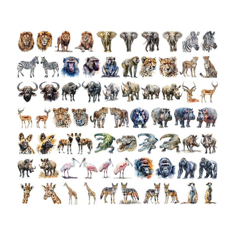 Watercolor African Animals Clipart Bundle, Safari Animals Clipart ...