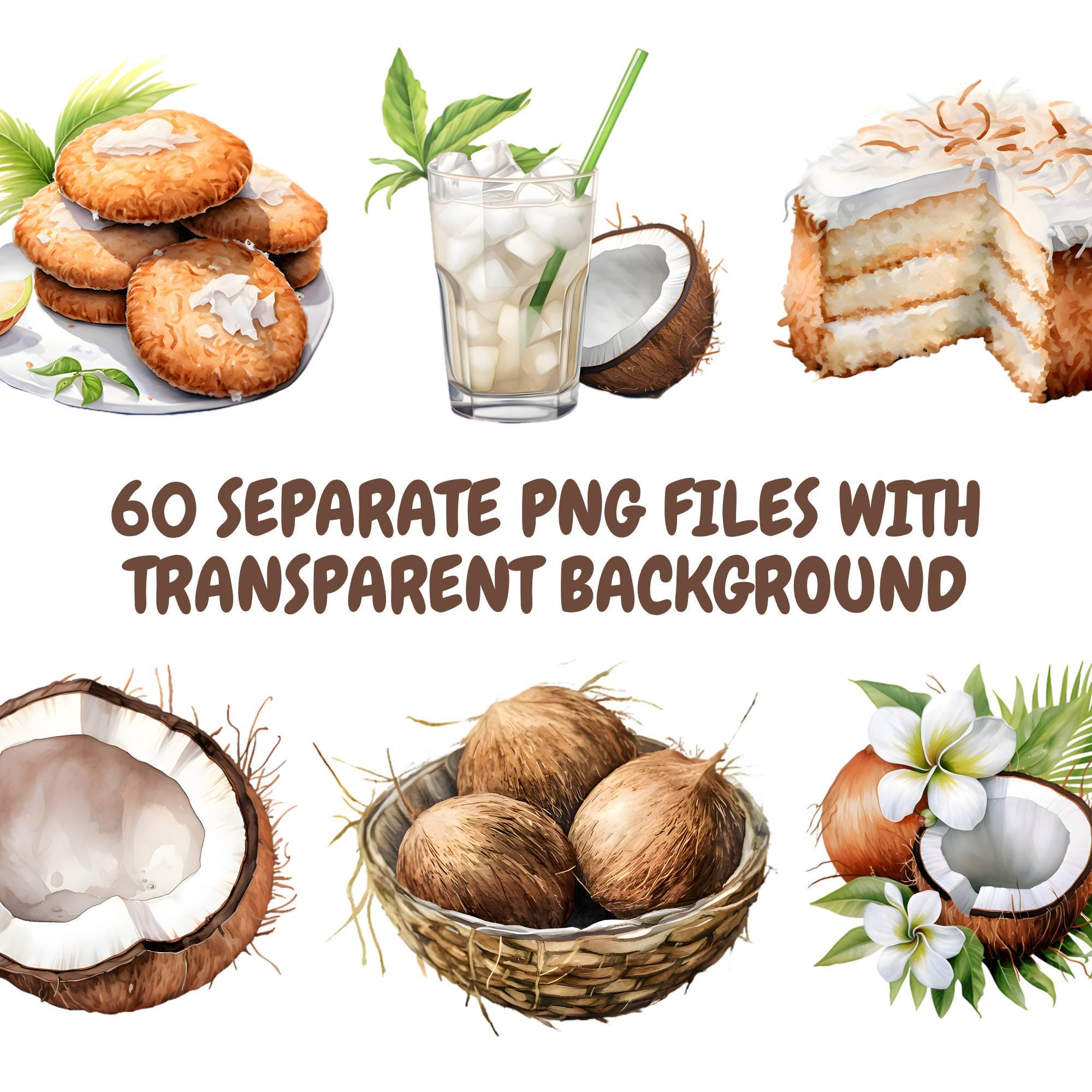 Watercolor Coconut Clipart Bundle, Tropical Fruit Clipart, Coconut ...