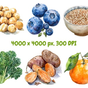Watercolor Healthy Food Clipart Bundle, Healthy Vegetable Clipart, Food ...