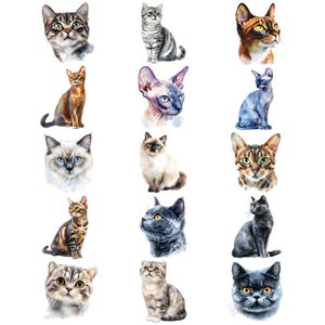 Watercolor Cats Clipart Bundle, Cute Kitten Clipart, Cat Illustrations ...