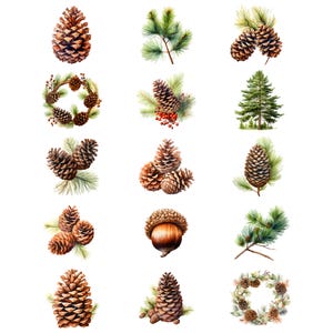 Watercolor Pine Cones Clipart Bundle, Pine Tree Clipart, Wreath ...