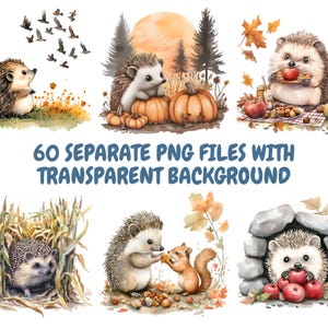 Watercolor Hedgehog Clipart Bundle, Cute Hedgehog Clipart, Hedgehog ...