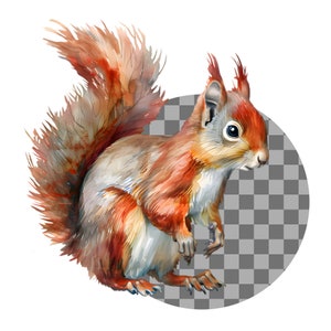 Watercolor Woodland Animals Clipart Bundle, Forest Animals Clipart ...