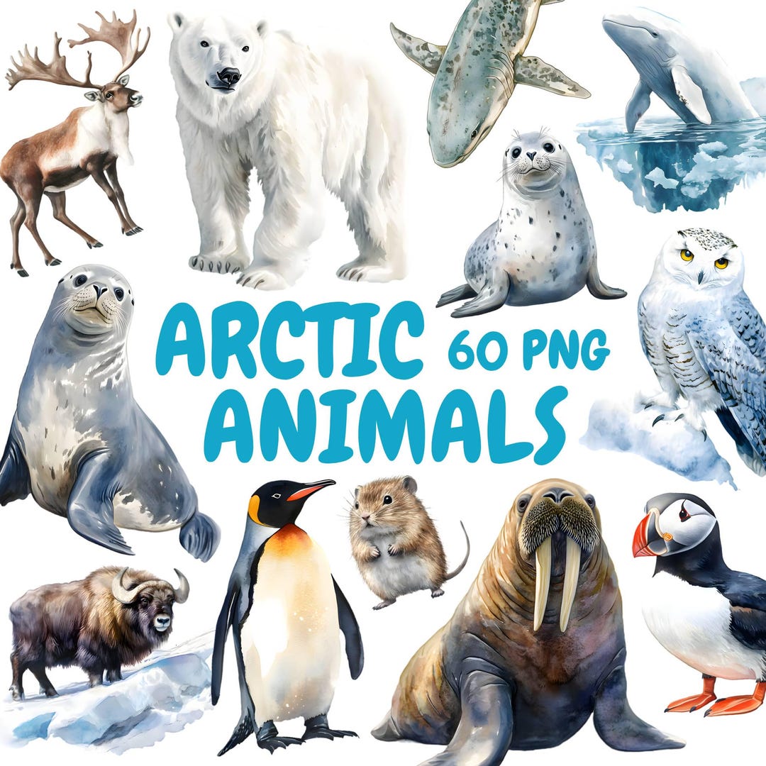 Watercolor Arctic Animals Clipart Bundle, Polar Bear Clipart, Seal ...