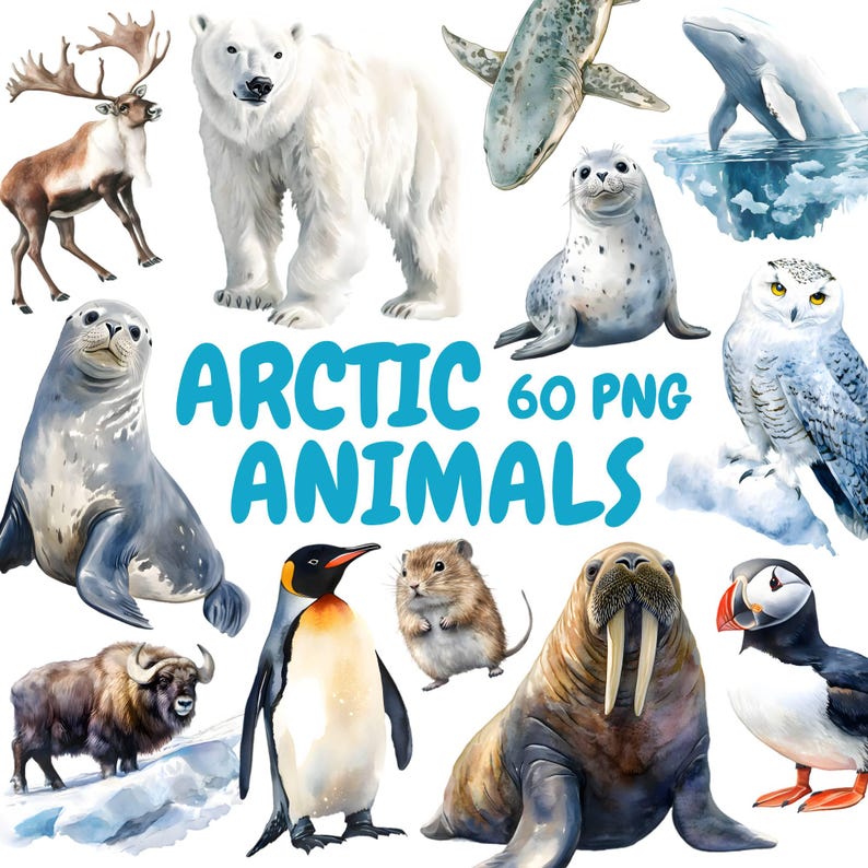 Watercolor Arctic Animals Clipart Bundle, Polar Bear Clipart, Seal ...