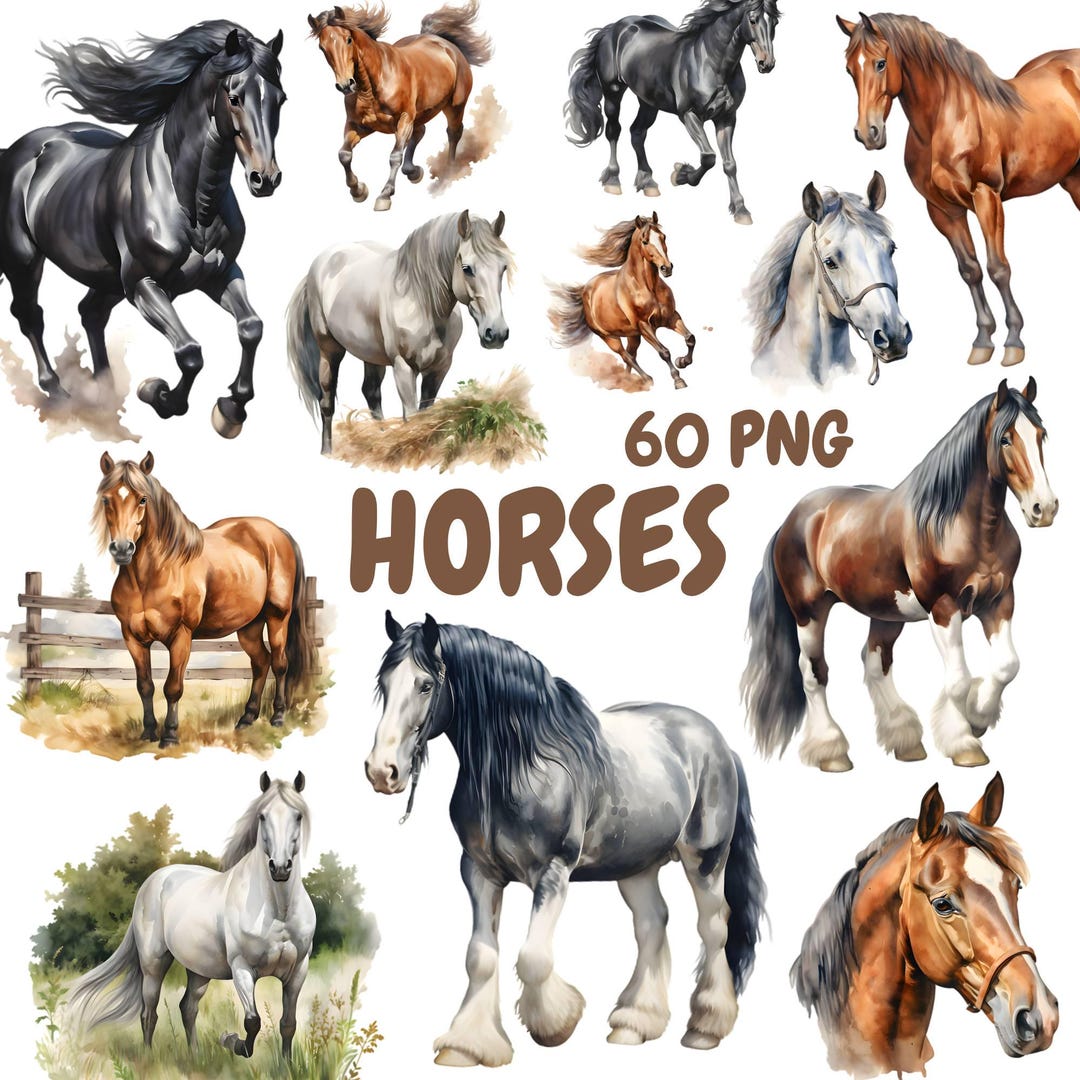 Watercolor Horses Clipart Bundle, Farm Horse Clipart, Horse ...