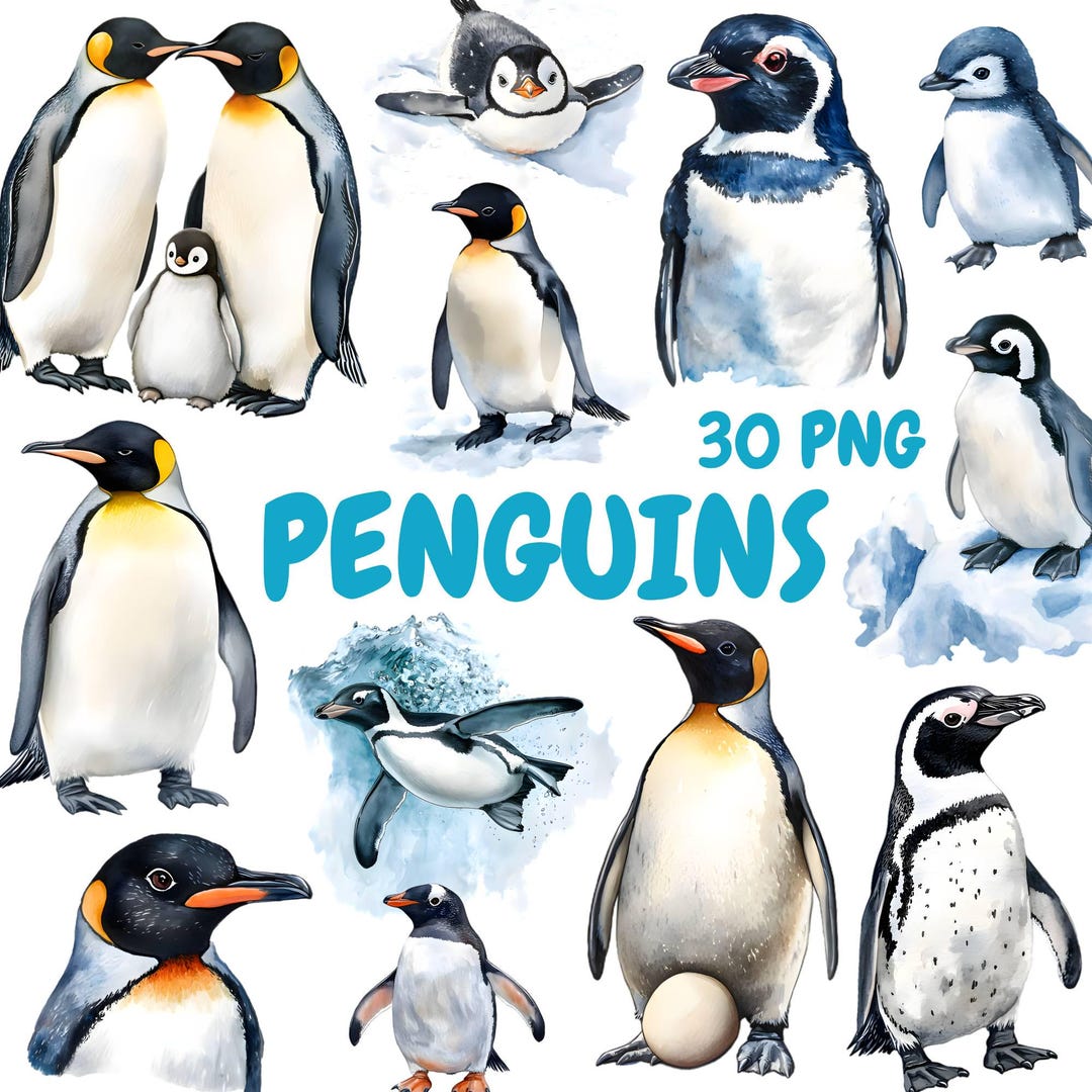 Watercolor Penguins Clipart Bundle, Winter Animals Clipart, Penguin ...