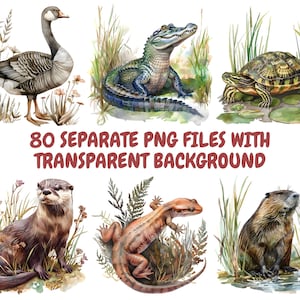 Watercolor Wetland Animals Clipart Bundle, Swamp Wildlife Clipart ...