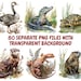 Watercolor Wetland Animals Clipart Bundle, Swamp Wildlife Clipart ...