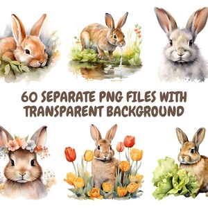 Watercolor Rabbits Clipart Bundle, Cute Bunny Clipart, Rabbit ...