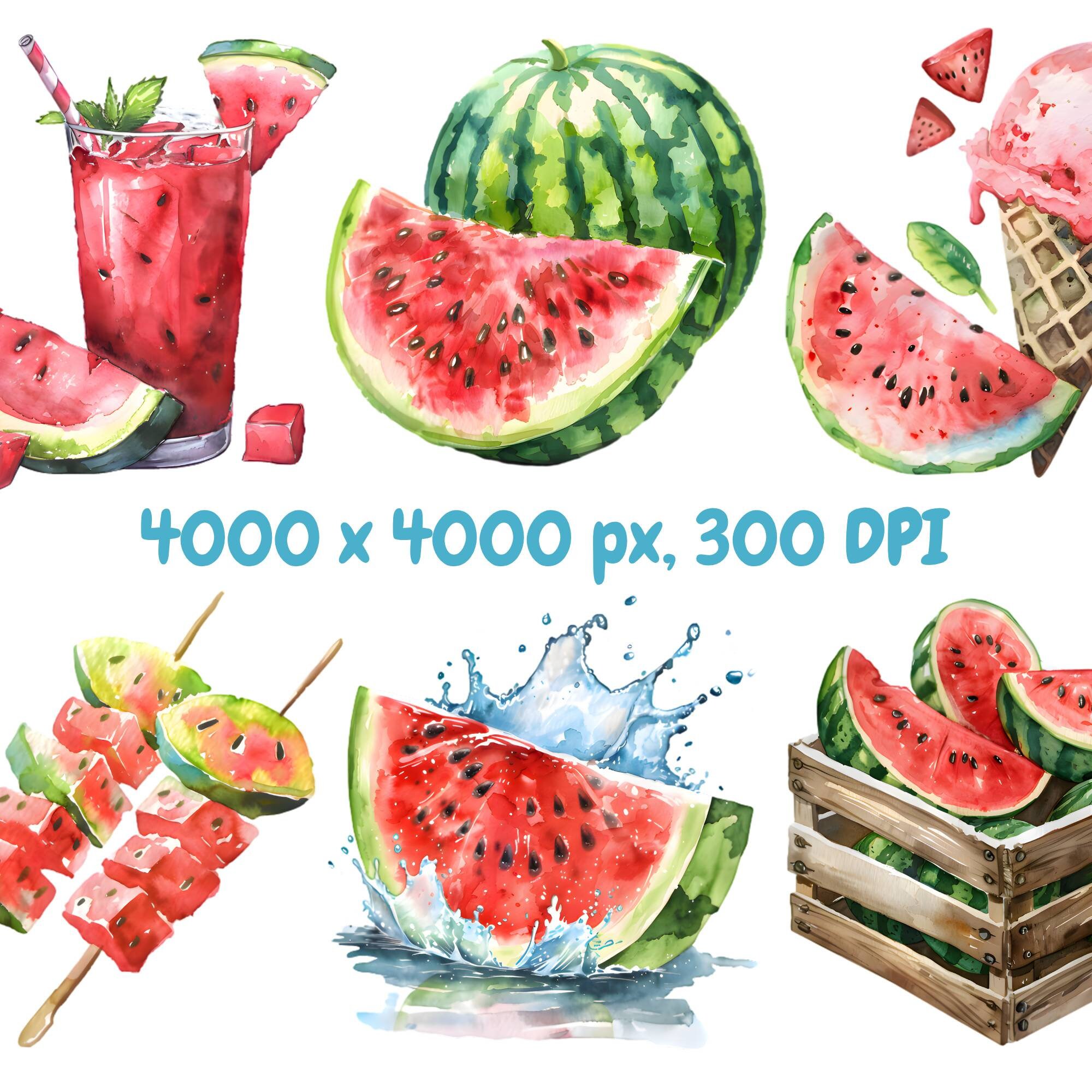 Watercolor Watermelon Clipart Bundle, Watermelon Slice Clipart, Fruit ...