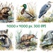 Watercolor Wetland Animals Clipart Bundle, Swamp Wildlife Clipart ...